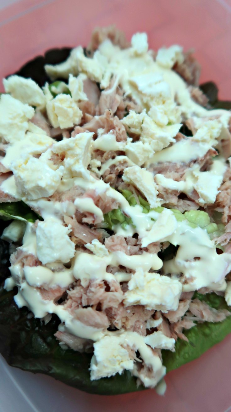 Keto Tuna Salad Lunch Box Easy Low Carb Lunch Box Idea For Work Or On